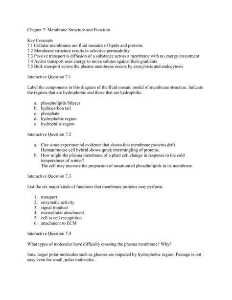 Chapter 7 Membrane Structure And Function