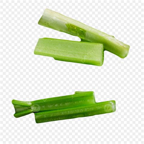 유기농 셀러리 Png 일러스트 Psd 및 클립 아트에 대한 무료 다운로드 Pngtree