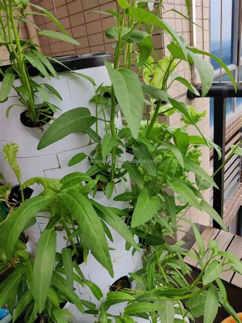 Vertical Hydroponic Growing Systems Tower Garden Strawberry System