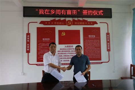 龙岩市中医院在湖坑镇开展“我在乡间有亩田”活动 乡镇之窗 永定新闻网