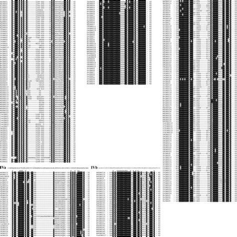 The Group Wise Sequence Logos Of The Cngc Specific Motifs Spanning The