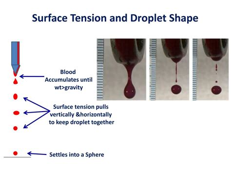 Ppt Bloodstain Pattern Analysis Bpa Powerpoint Presentation Free