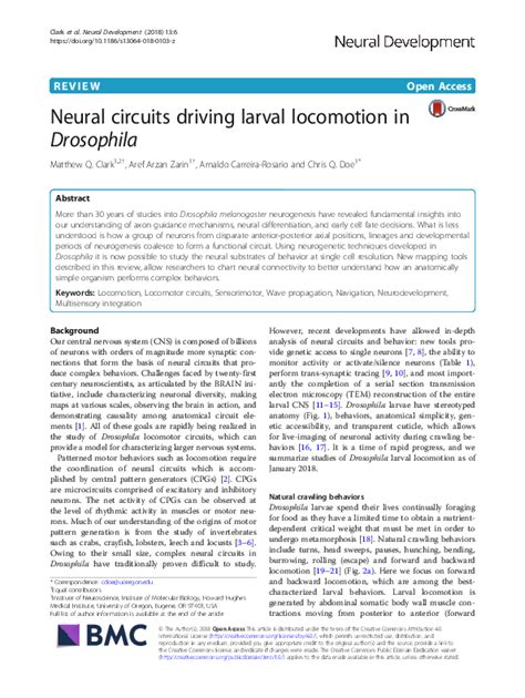 Pdf Neural Circuits Driving Larval Locomotion In Drosophila