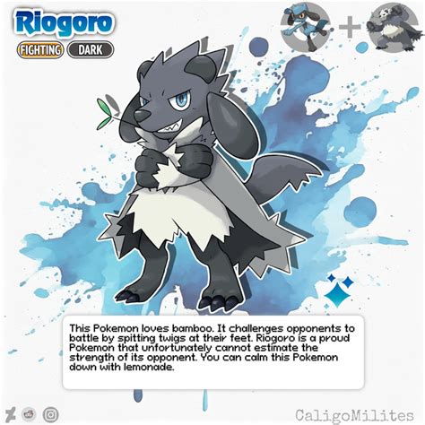 Fusion Riolu And Pangoro Pokemon Fakemon R Pokemoninfinitefusion