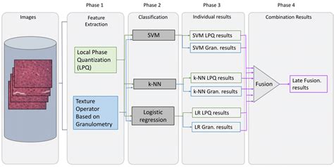 General Overview Of The Methodology Used For Classification Download