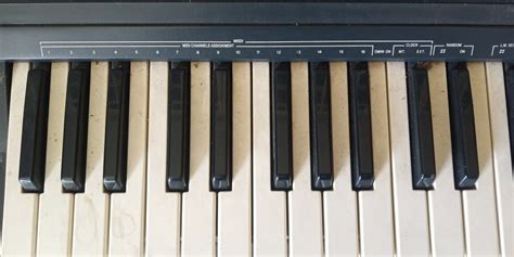 Bontempi Midi Synthesizer Keyboard Hobbies And Toys Music And Media Musical Instruments On Carousell