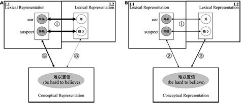 Frontiers The Lexical Processing Of Japanese Collocations By Chinese Japanese As A Foreign