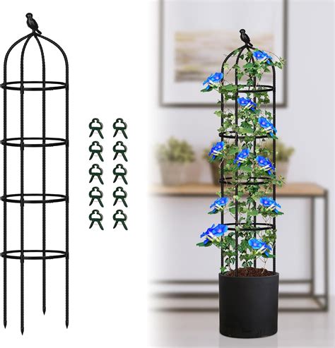 Garden Trellis For Climbing Plants Outdoor 6ft Tall Metal Garden