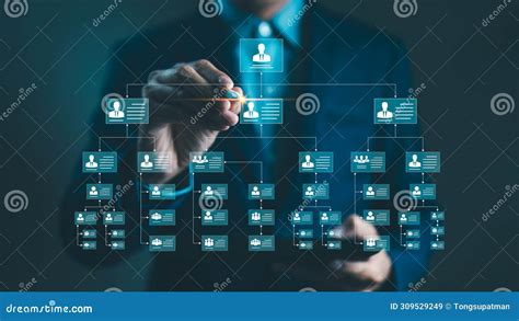 Organization Chart And Hierarchy Structure Employees In The Company