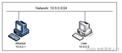 Labsetup Csdn