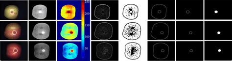bruise spot segmentation for three types of samples with different