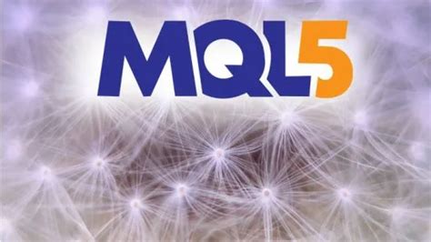 Udemy Mql5 机器学习 01： 用于算法交易的神经网络 Mql5 Machine Learning 01 Neural