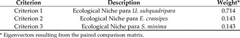 Weights Used In Multicriteria Decision Making Download Scientific