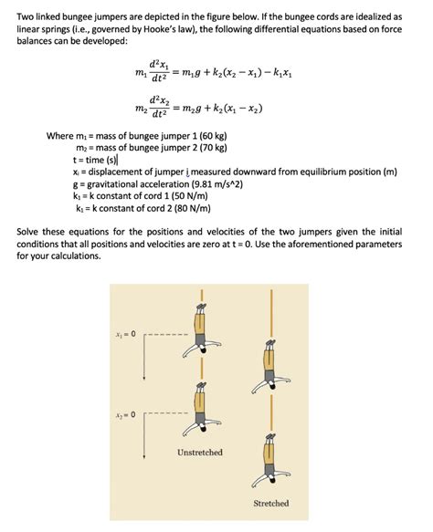 Two Linked Bungee Jumpers Are Depicted In The Figure Below If The