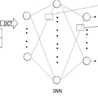 The Proposed D SNN Structure Download Scientific Diagram