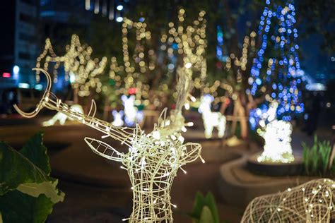 Photo Gallery ฉลองเปิด “สวนฯ คลองช่องนนทรี” จัดนิทรรศการ ดนตรี แสงสี ชวนเพลิดเพลิน