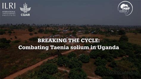 Lian Thomas On Linkedin Breaking The Cycle Combating Taenia Solium In