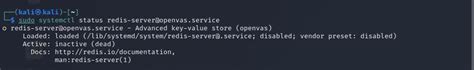 Как установить и использовать OpenVAS GVM на Kali Linux