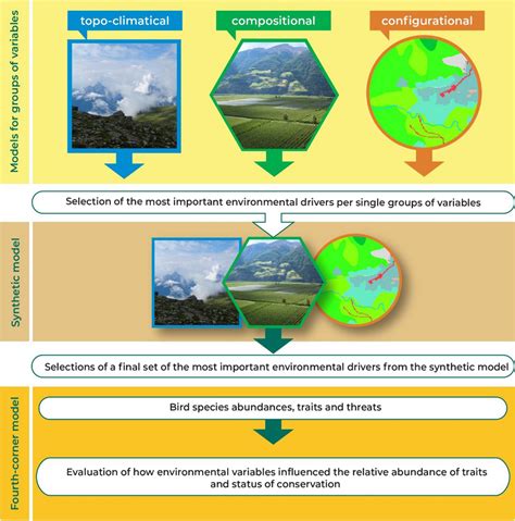 Scheme Showing The Statistical Framework Adopted To Evaluate The