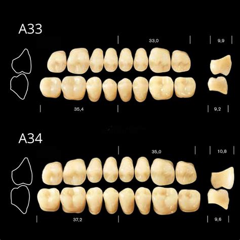 L5 Anterior L Plus Comp A3