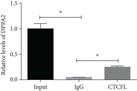 Ctcfl Promotes The Dppa2 Level In Gastric Cancer A Bioinformatics