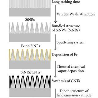 Schematic Diagram Of The Procedures For Fabricating The Core Shell Download Scientific Diagram