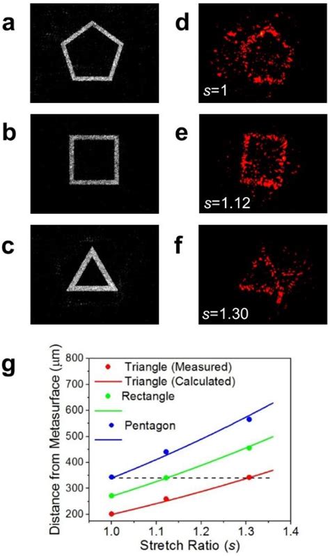 Figure From Strain Multiplexed Metasurface Holograms On A Stretchable