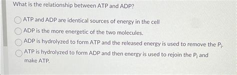 Solved What Is The Relationship Between ATP And ADP ATP And Chegg Com