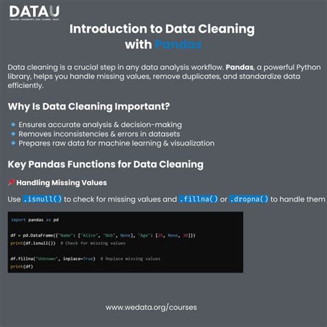 🚀 Clean Your Data Like A Pro With Pandas 🧹🐼 Messy Data No Problem
