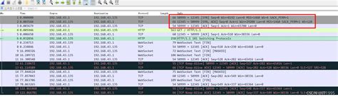 Wireshark文档阅读笔记 Websocket协议基本概念wireshark Websocket Csdn博客