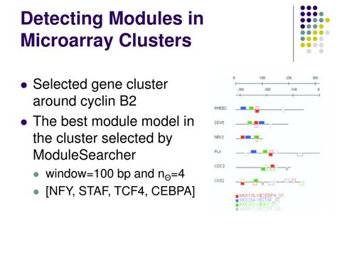 Ppt Computational Detection Of Cis Regulatory Modules Powerpoint