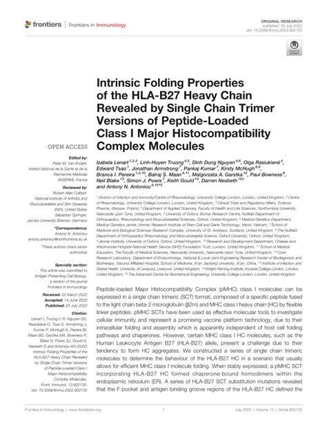Pdf Intrinsic Folding Properties Of The Hla B27 Heavy Chain Revealed By Single Chain Trimer