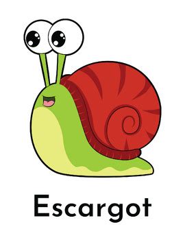 French Insect and Bugs Vocabulary Flash Cards en français for Pre k Kinder