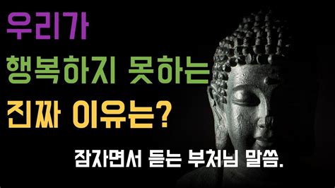 행복하지 못한 진짜 이유 부처님말씀 부처님가르침 명언 긍정적마인드 긍정의말 긍정의한줄 인생조언 지혜 자기수행 좋은글 석가모니 불교입문 불교 Youtube