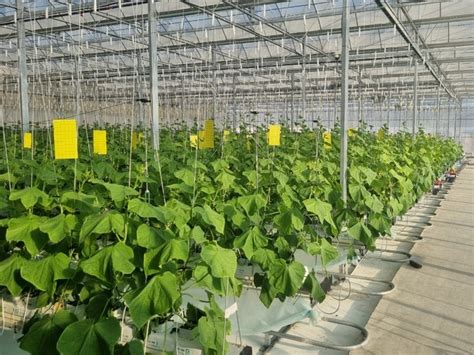 한국 아랍에미리트 농업기술 연구 성과 공유