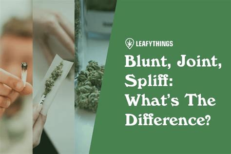 Blunt Joint Spliff Whats The Difference Blogs