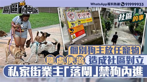 社區的事｜缺德狗主放任寵物隨處便溺造成社區對立 私家街業主「落閘」禁狗內進 星島日報