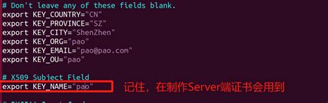 Ubuntu搭建openvpn服务器 Csdn博客