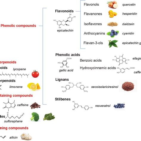 Structure Of Common Phytochemicals Download Scientific Diagram
