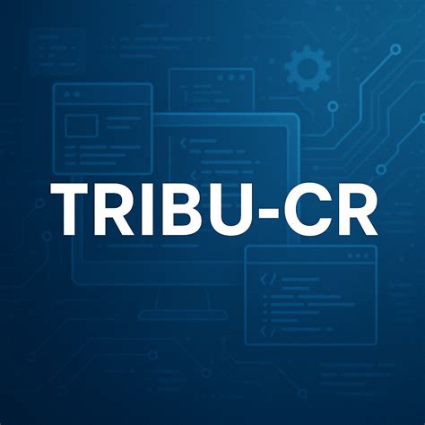 Declaraci N De Iva En Tribu Cr Gu A Eficaz Para Empresas