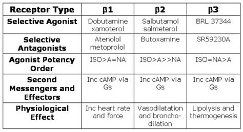 Lecture Notes For Pharmacy Students Beta Adrenoceptors
