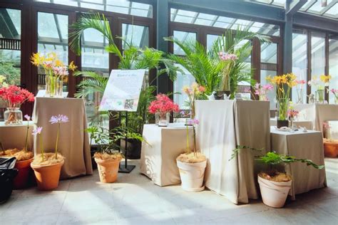彼岸花事丨2023上海植物园石蒜科普展今日登场