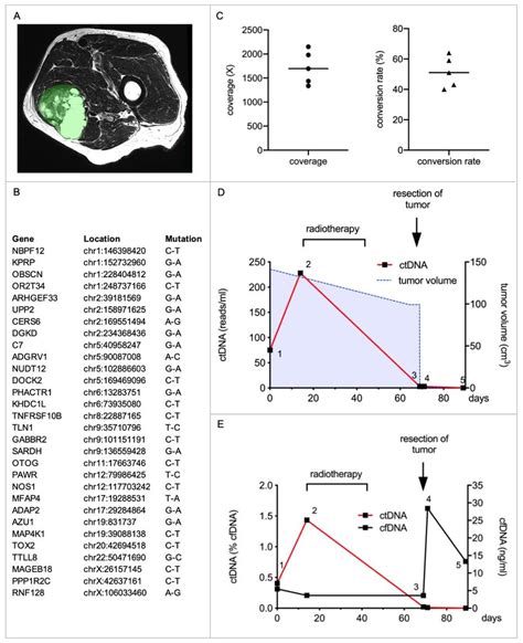 Ctdna Enables Monitoring Of The Treatment Response Of Neoadjuvant Download Scientific Diagram