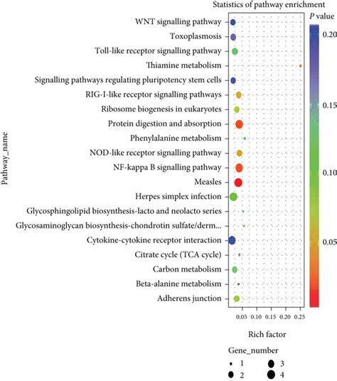Microarray Analysis A Heatmap Of Sequencing Result Top 200 Genes