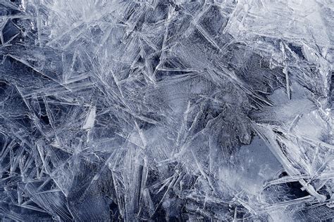 Scientists Just Discovered More Than 30 Viruses Frozen In Ice And Most