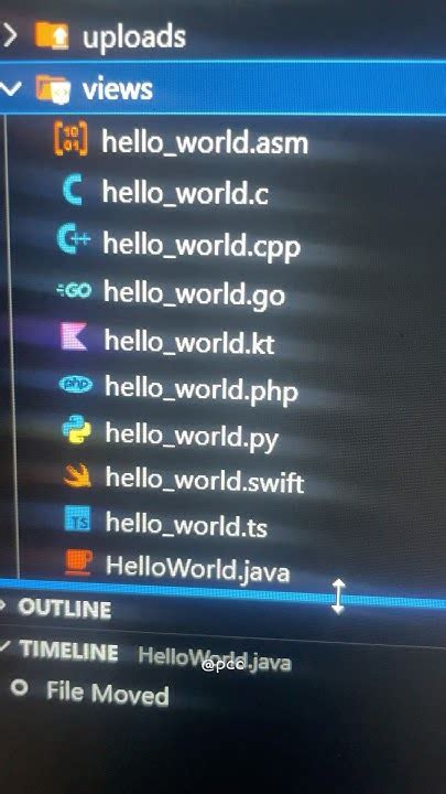 The Programmers First Step Hello World 🌍 Programmer Ytshorts Coding Coder Python Ai
