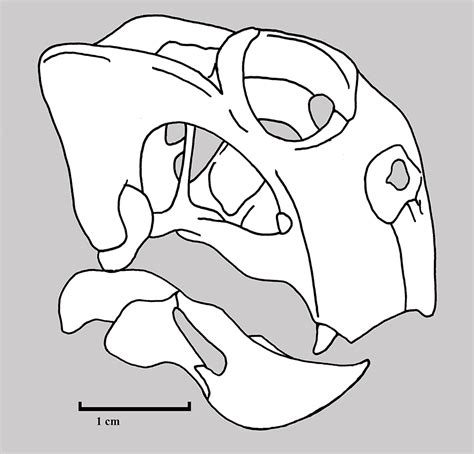 Untitled Document []