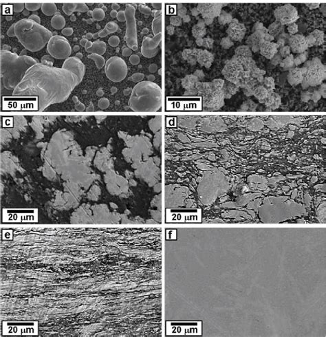 morphology of a al and b ni powders observed using sem and sem