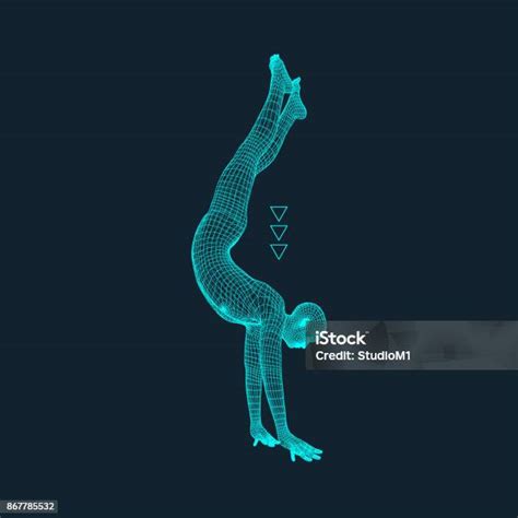 체조 선수 이다입니다 남자 남자 인체 모델의 3 차원 모델입니다 본문 검색입니다 인체의 보기입니다 아이콘 건강 및 피트 니스 커뮤니티 체조 활동입니다 Championship