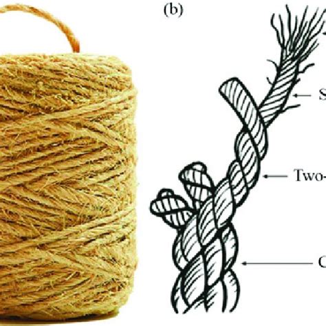 1 A Natural Fiber Yarn And B Schematic Diagram Showing The Three Types Download Scientific